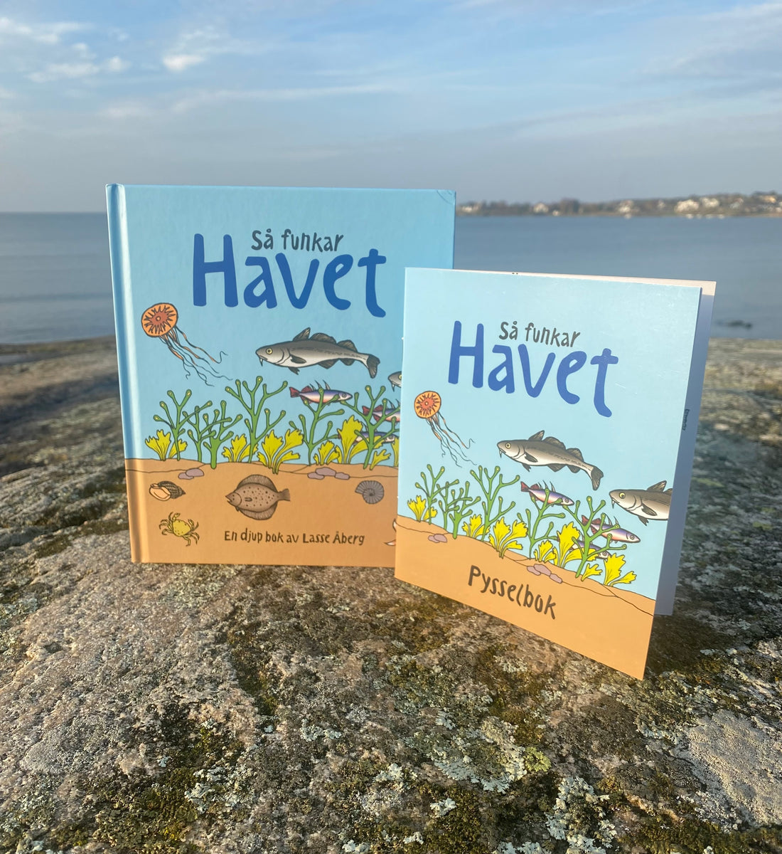 Så funkar havet - med pysselbok – Lilla havsbutiken